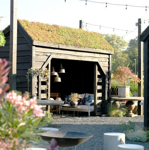 Terrain Store Locations