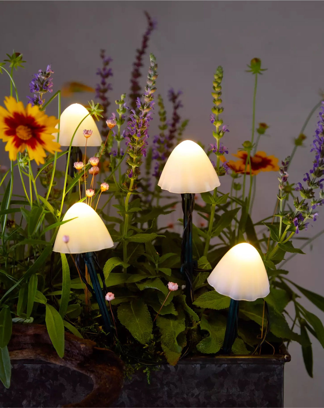 Indoor + Outdoor Lighting Guide | Terrain