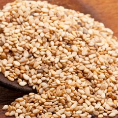 Fibertone® | 100 Capsules (500 mg each capsule)