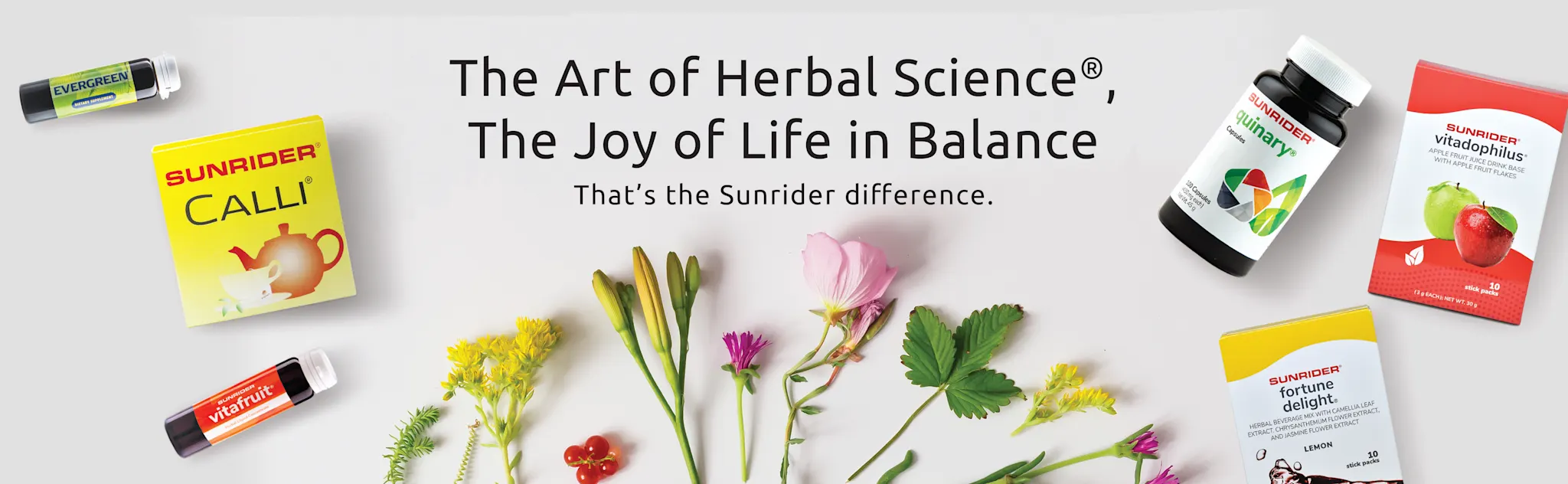 Home Page | Sunrider