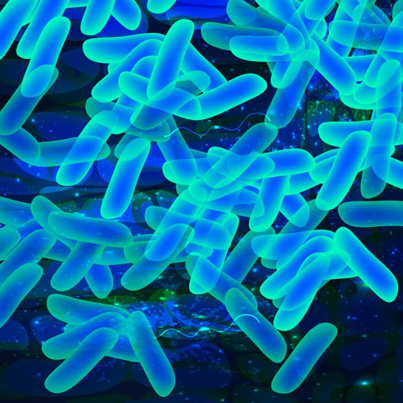 VitaDophilus® - Stick Pack | 30 Stick Pack (0.10 oz./3g)