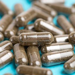 Dr. Chen® MetaBooster® | 100 Capsules (500 mg each capsule)*