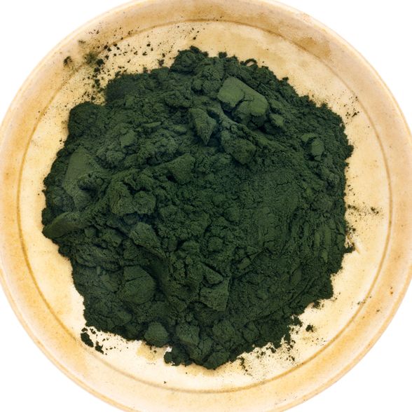 Evergreen® | 10 Bottles (0.5 fl. oz./15 mL each bottle)