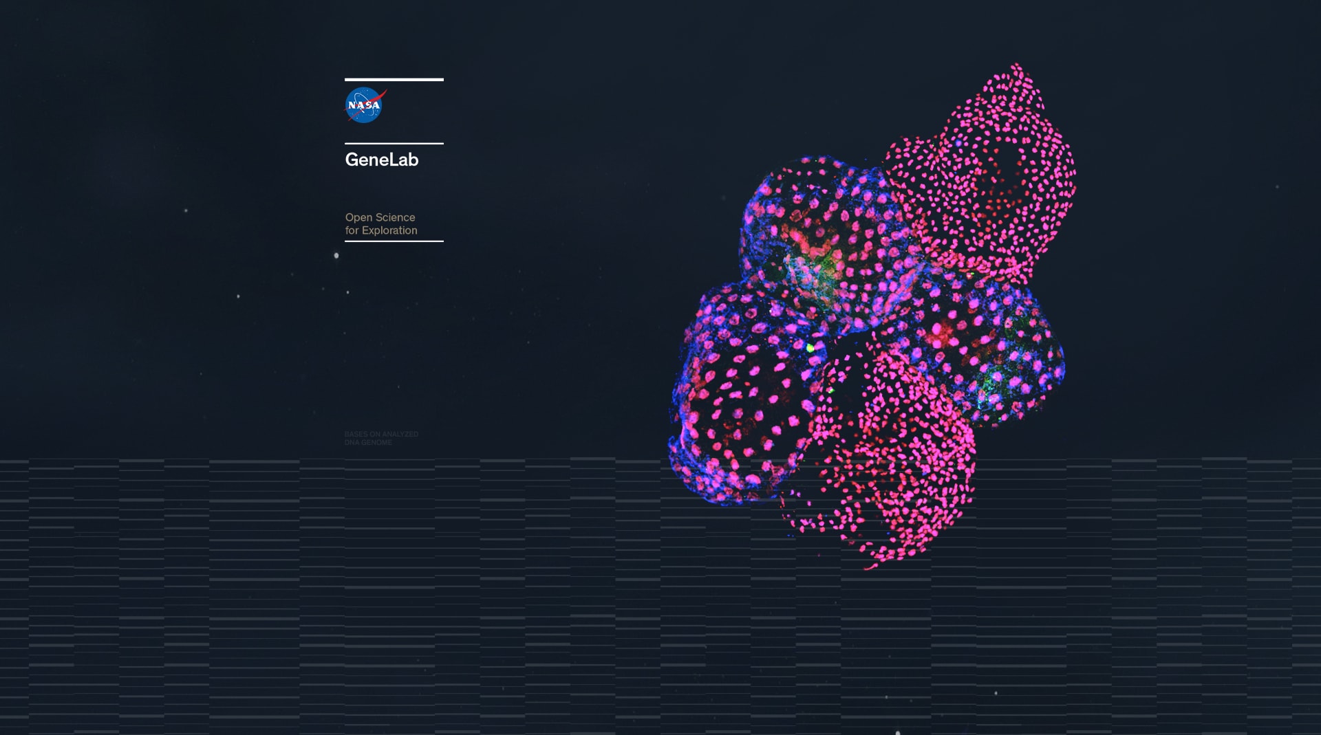 Hello Monday | Nasa Genelab