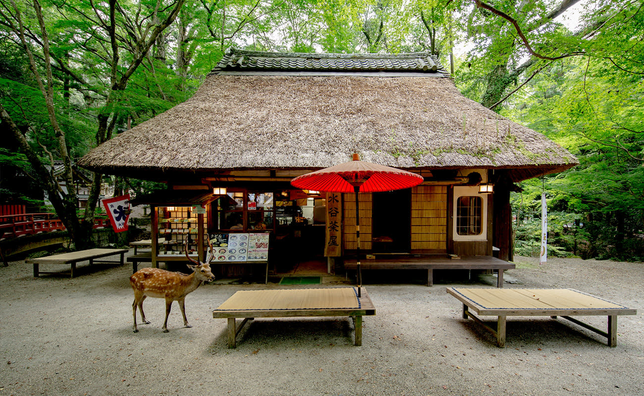 10 Reasons Nara Should Be on Your Bucket List - Official Nara Travel Guide