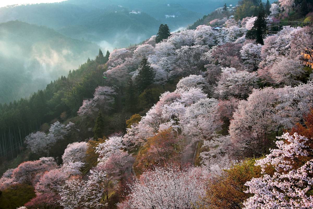 Destinations - Official Nara Travel Guide