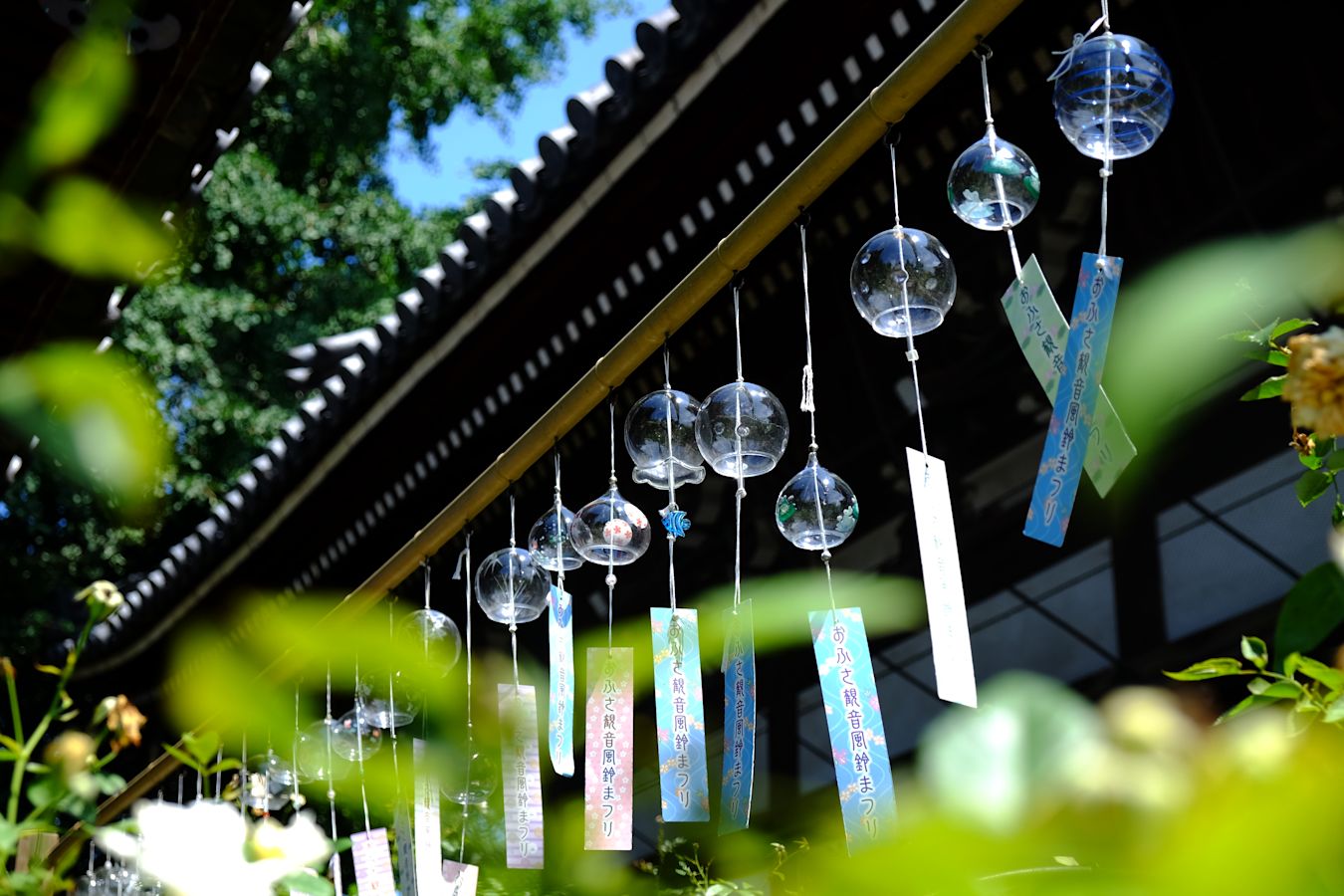 Top Things to Do in Nara This Summer - Official Nara Travel Guide