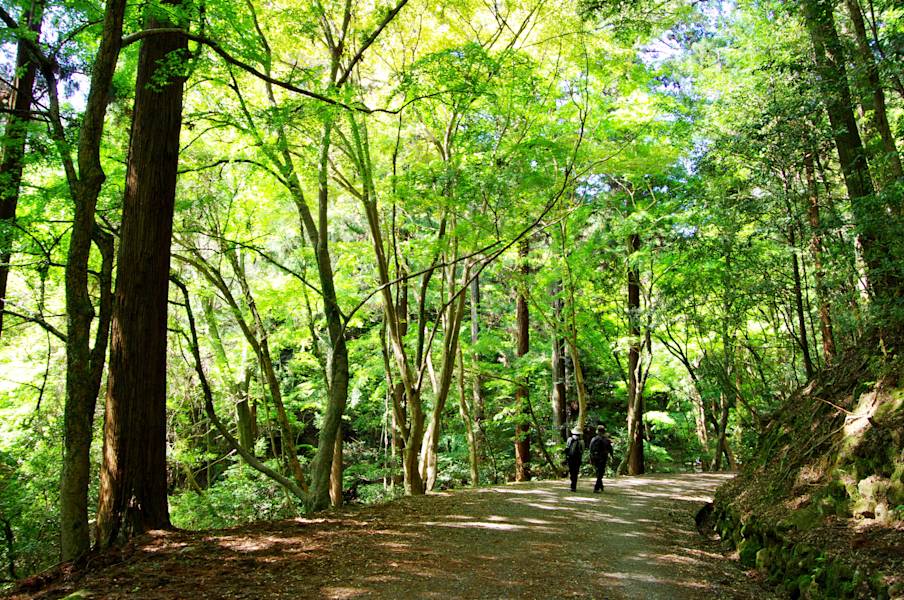 History - Official Nara Travel Guide