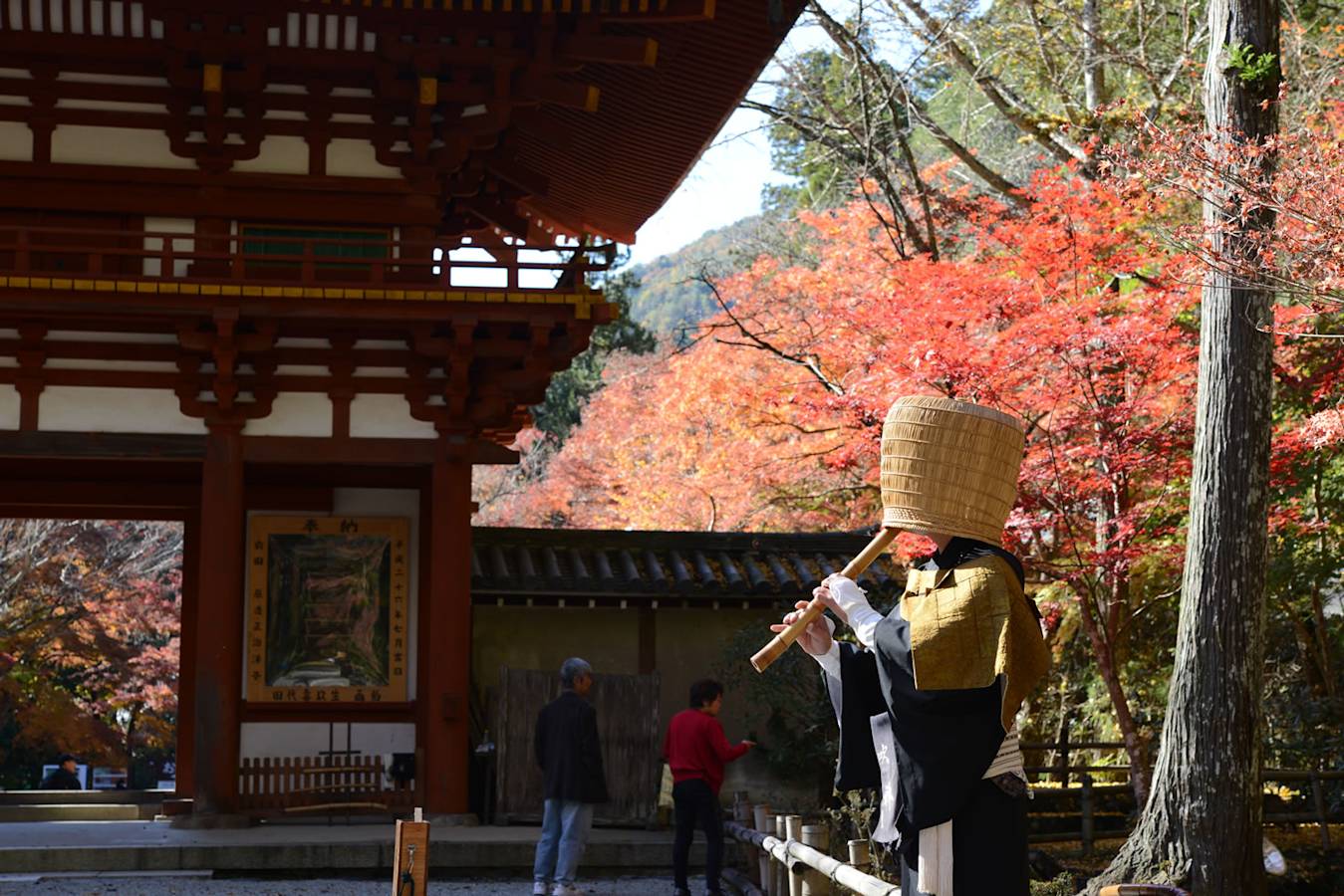 Autumn in Nara: Where to See the Season's Best Colors - Official Nara ...