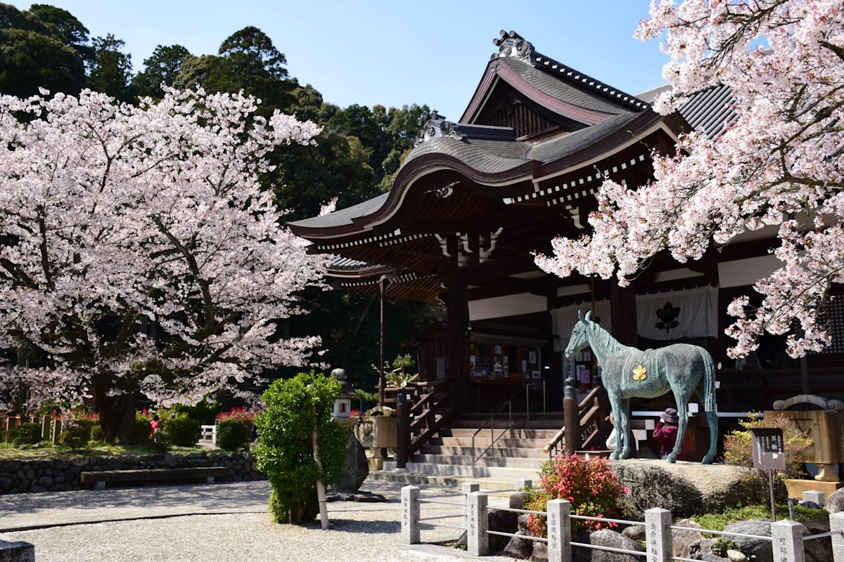 Tachibanadera Temple - Official Nara Travel Guide