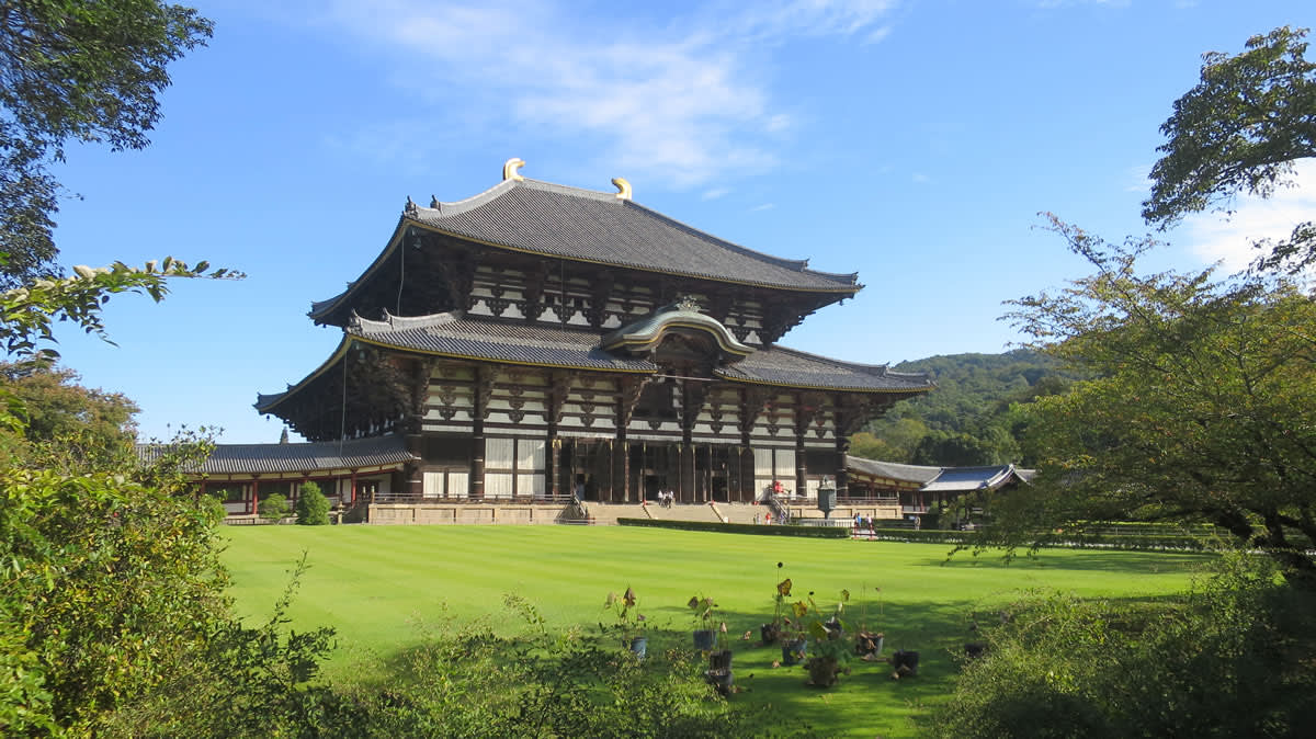 A Journey Through Japan's History and Culture - Official Nara Travel Guide
