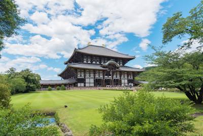 See & Do - Official Nara Travel Guide