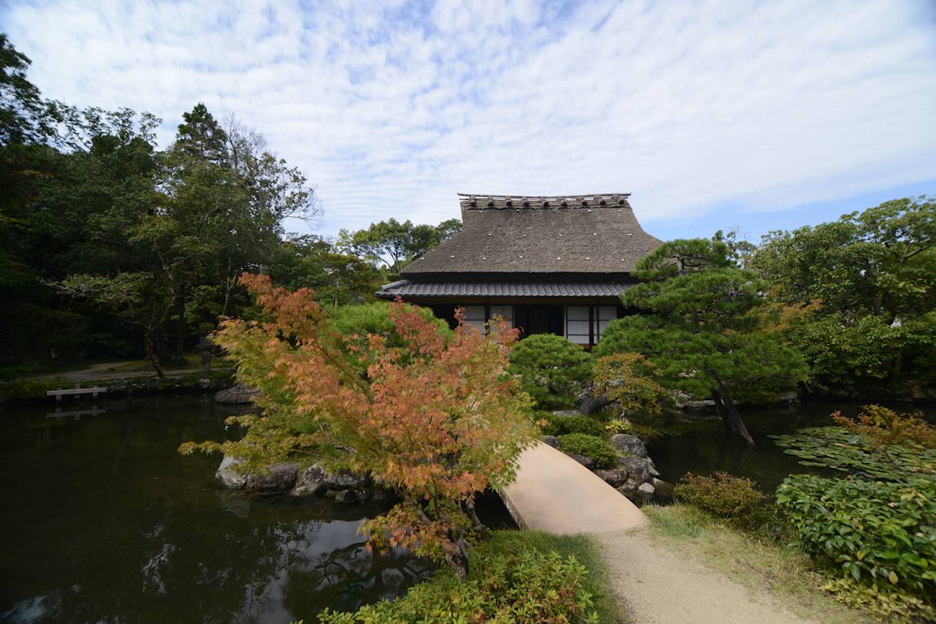 First Time in Nara: The Essential Don't Miss List - Official Nara ...