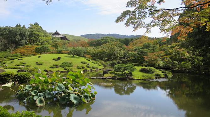 Nara Park Area Guide - Official Nara Travel Guide