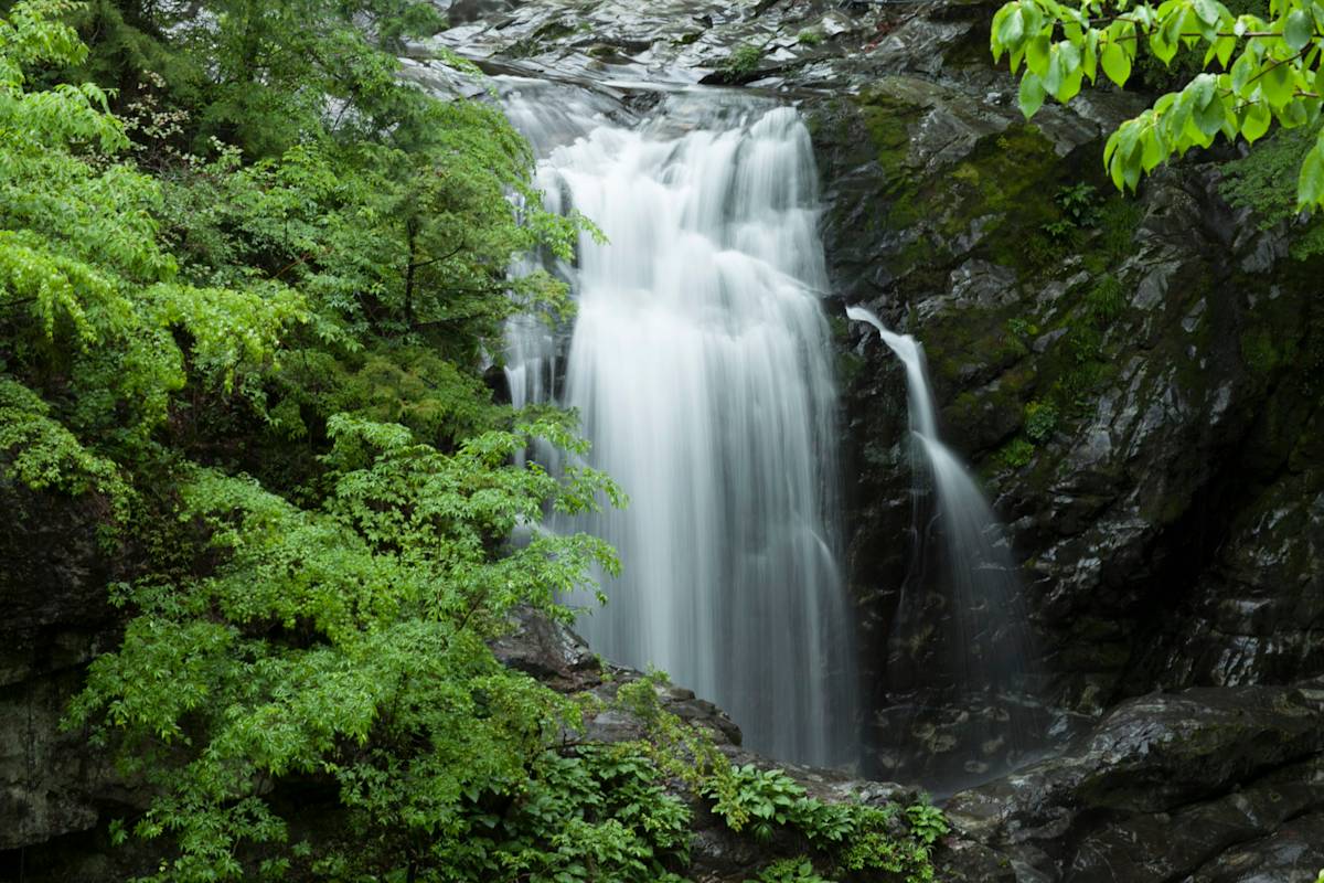 Destinations - Official Nara Travel Guide