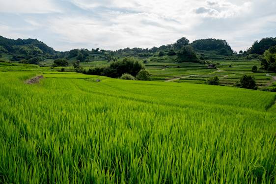 Asuka Area Guide - Official Nara Travel Guide
