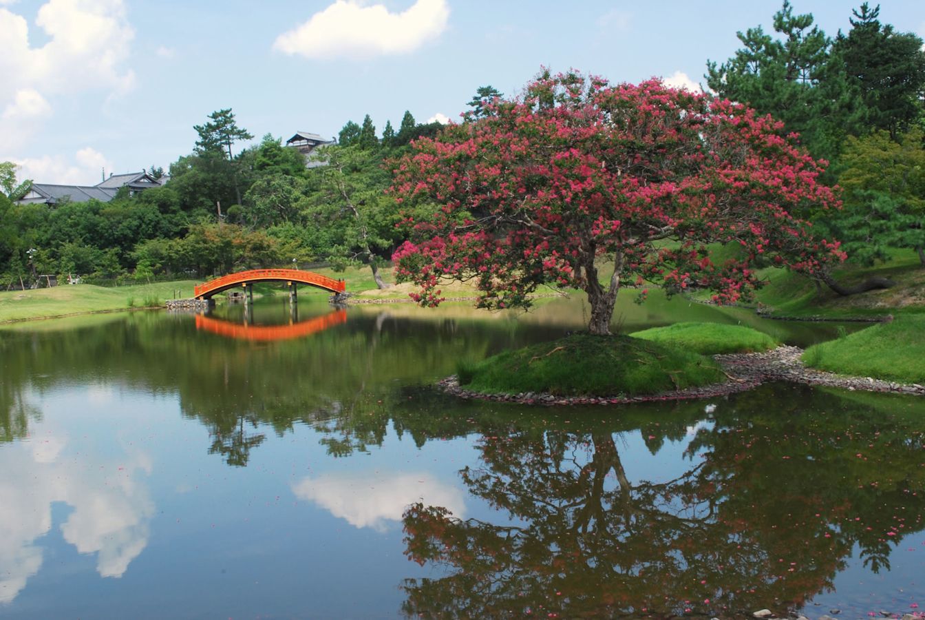 Local Secrets: 5 Things Most People Don't Know about Nara - Official ...