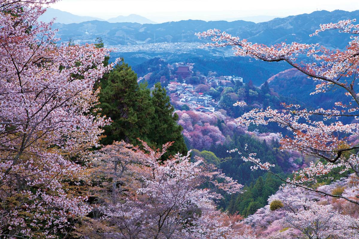 Seasons - Official Nara Travel Guide