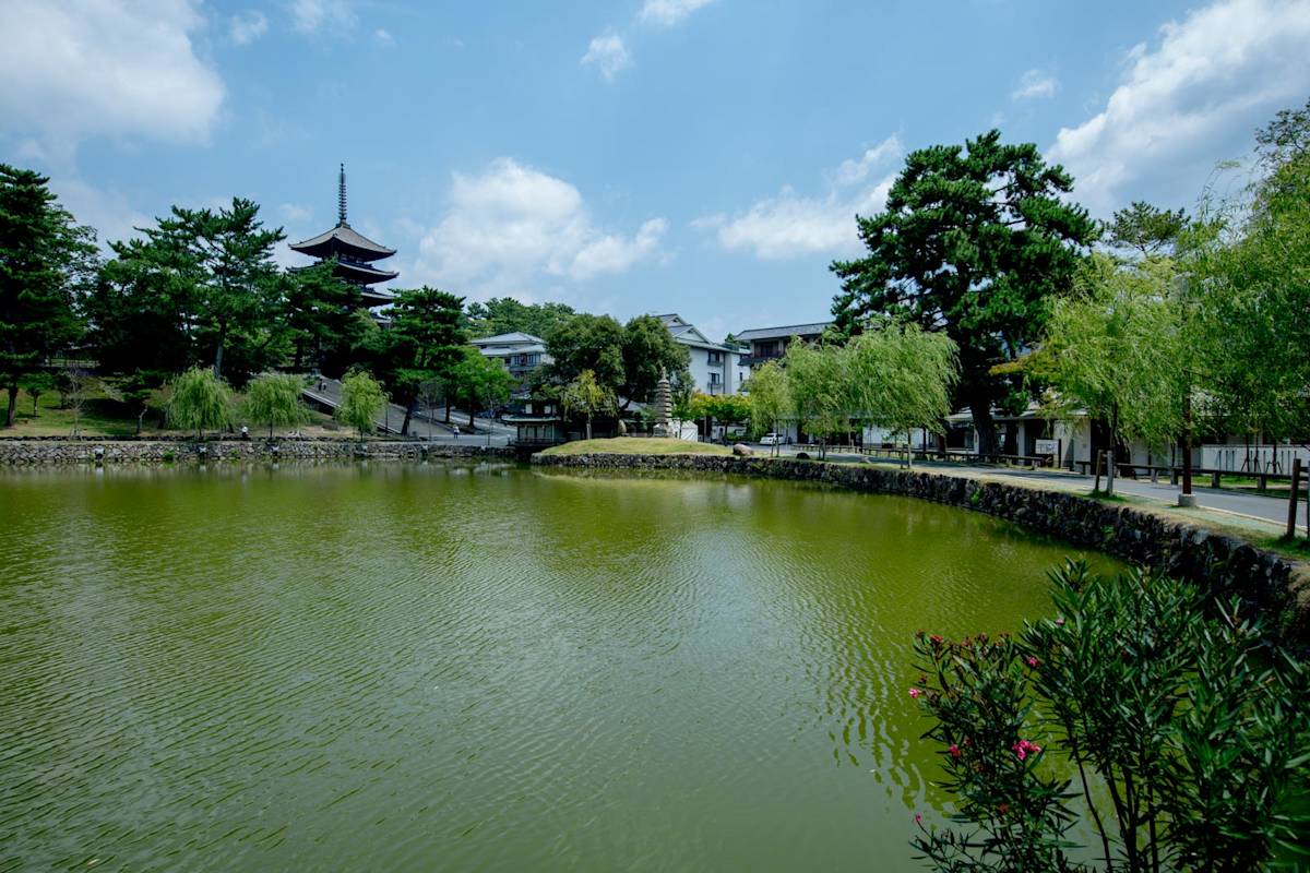 Sarusawa Pond - Official Nara Travel Guide