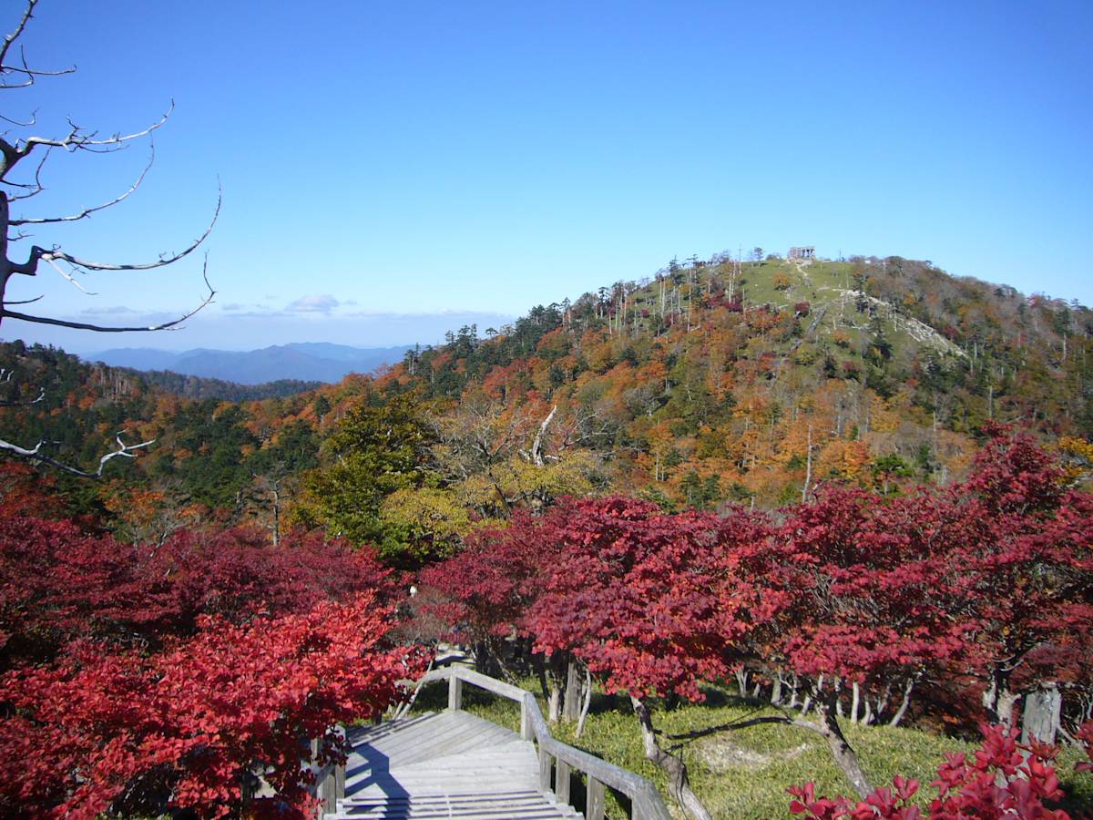 Yoshino Area Guide - Official Nara Travel Guide