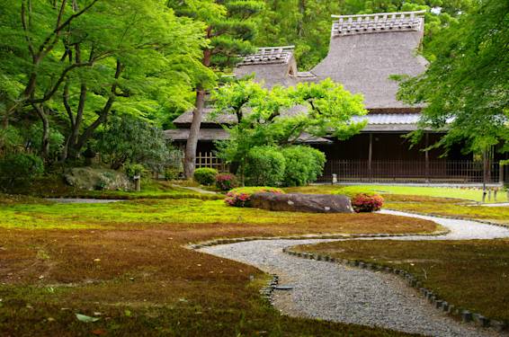 Nara Park Area Guide - Official Nara Travel Guide