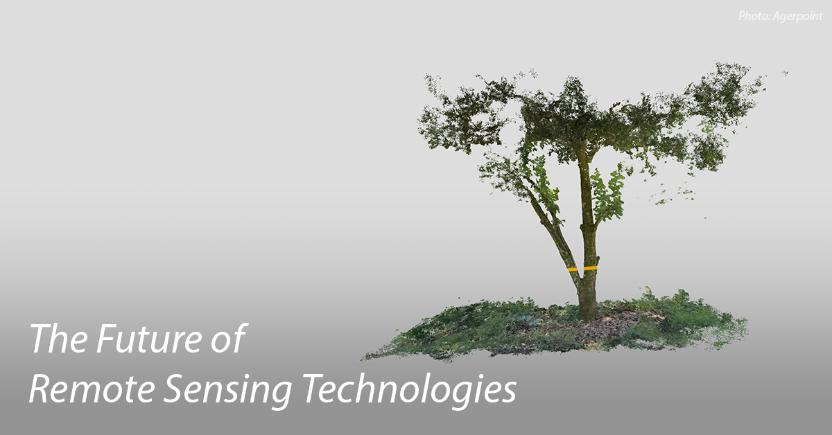 The Road to El Dorado | The Future of RS technologies | Acorn Rabobank