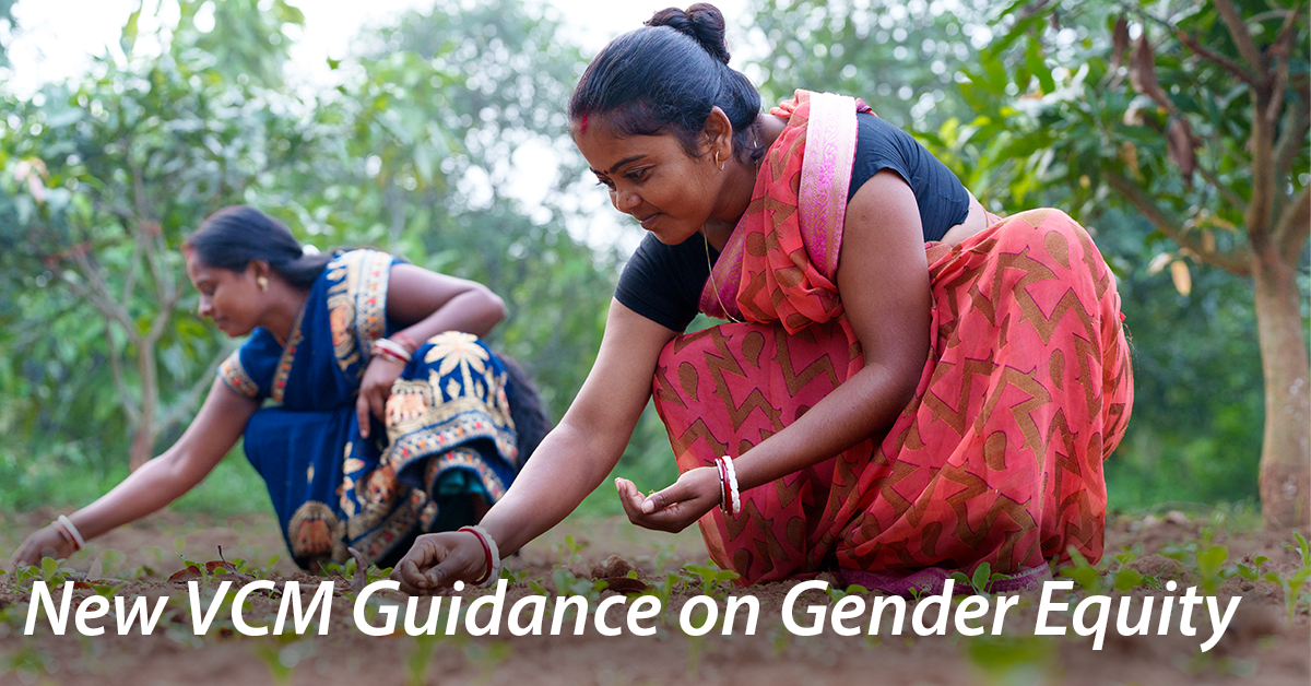 New Guidance Advances Gender Equity Efforts in Carbon Projects | Acorn ...