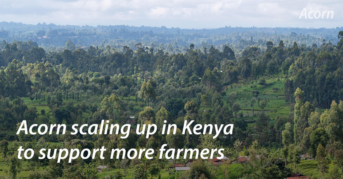 Kenya’s agroforestry leap: a scaling workshop in Nairobi | Acorn Rabobank