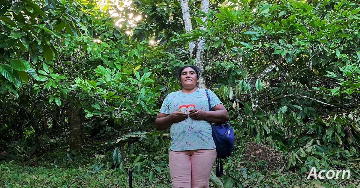 Acorn expands in Latin America | Acorn Rabobank