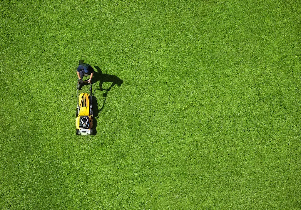 Lawn Mowing Tips: Mow Like a Pro, Make Your Grass Look Great | Checkatrade