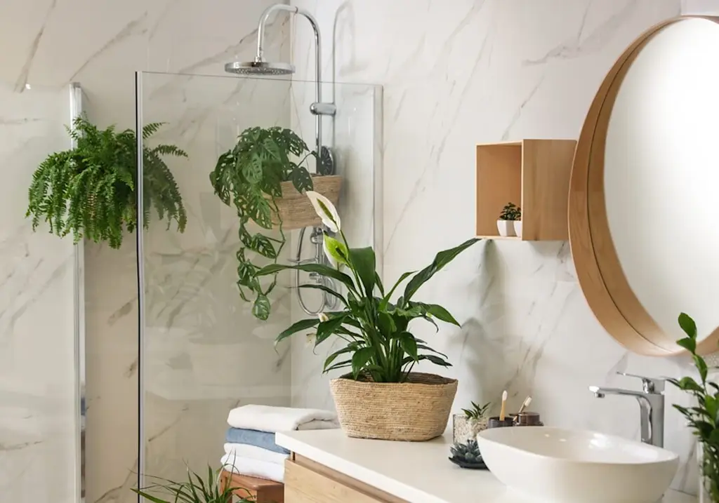 How to Prevent Damp in Your Home | Causes, Fixes & Warning Signs