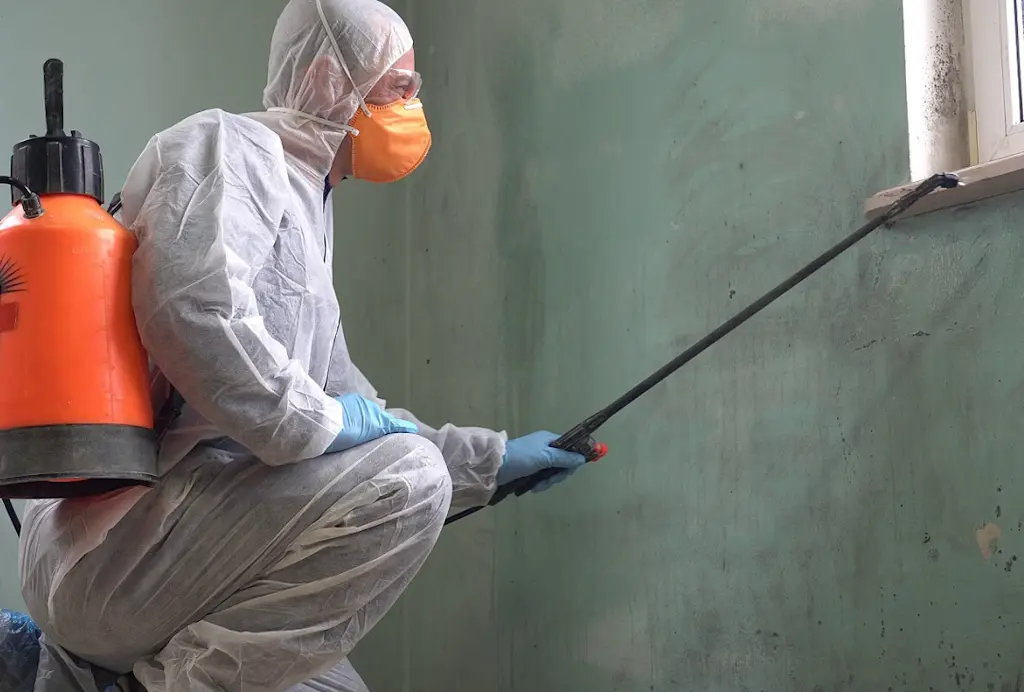 Find a Fumigation Service Near Me | Checkatrade