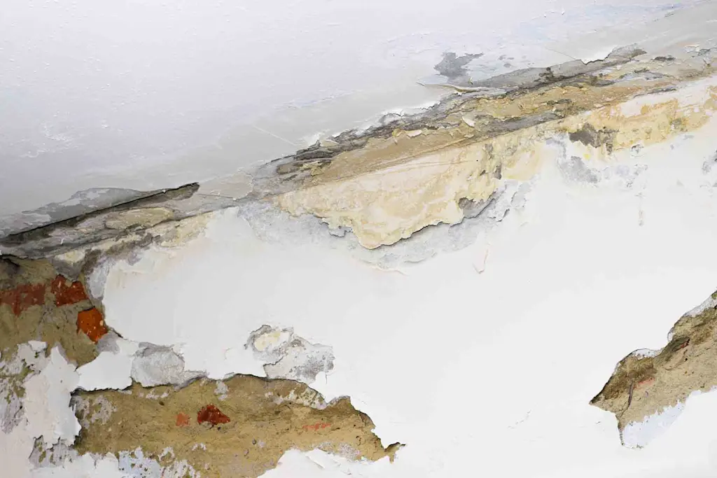 How To Treat Damp Walls Internally | Checkatrade