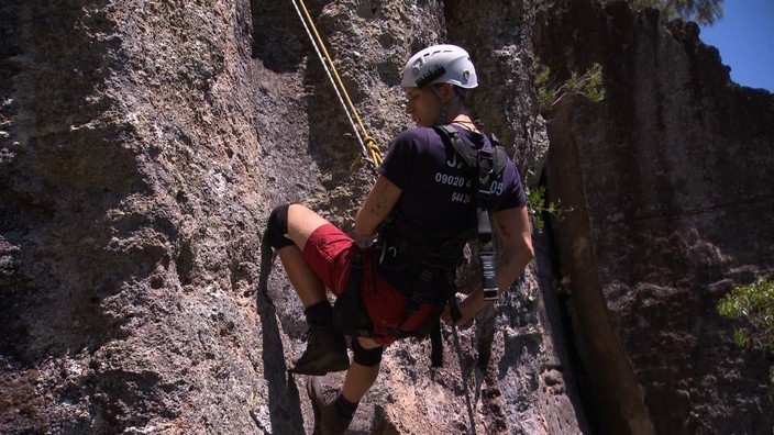 The Quest begins - on a cliffhanger | I'm A Celebrity… Get Me Out Of Here!