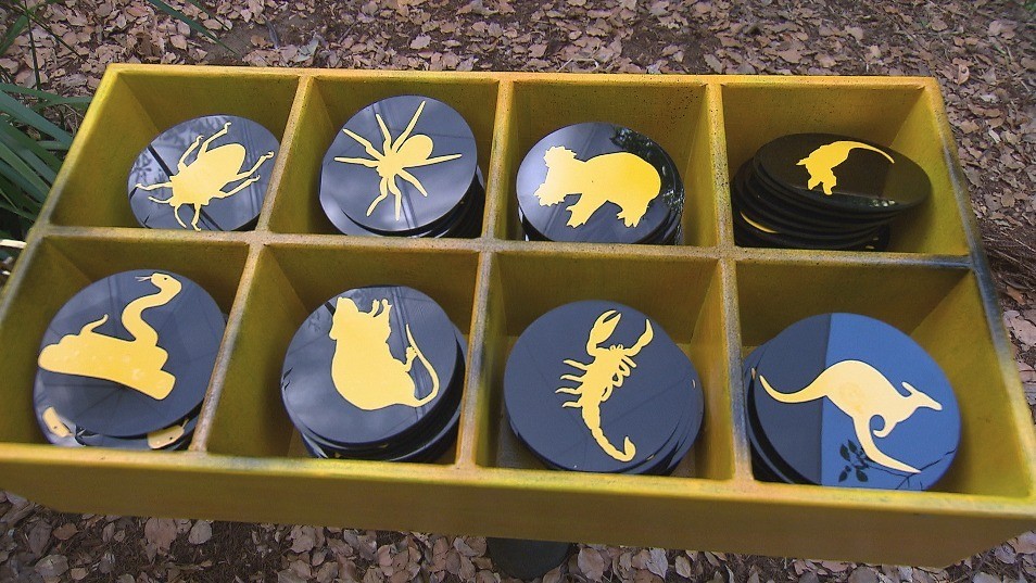 Who will crack the code to win the Animal Code Breakers challenge? | I ...