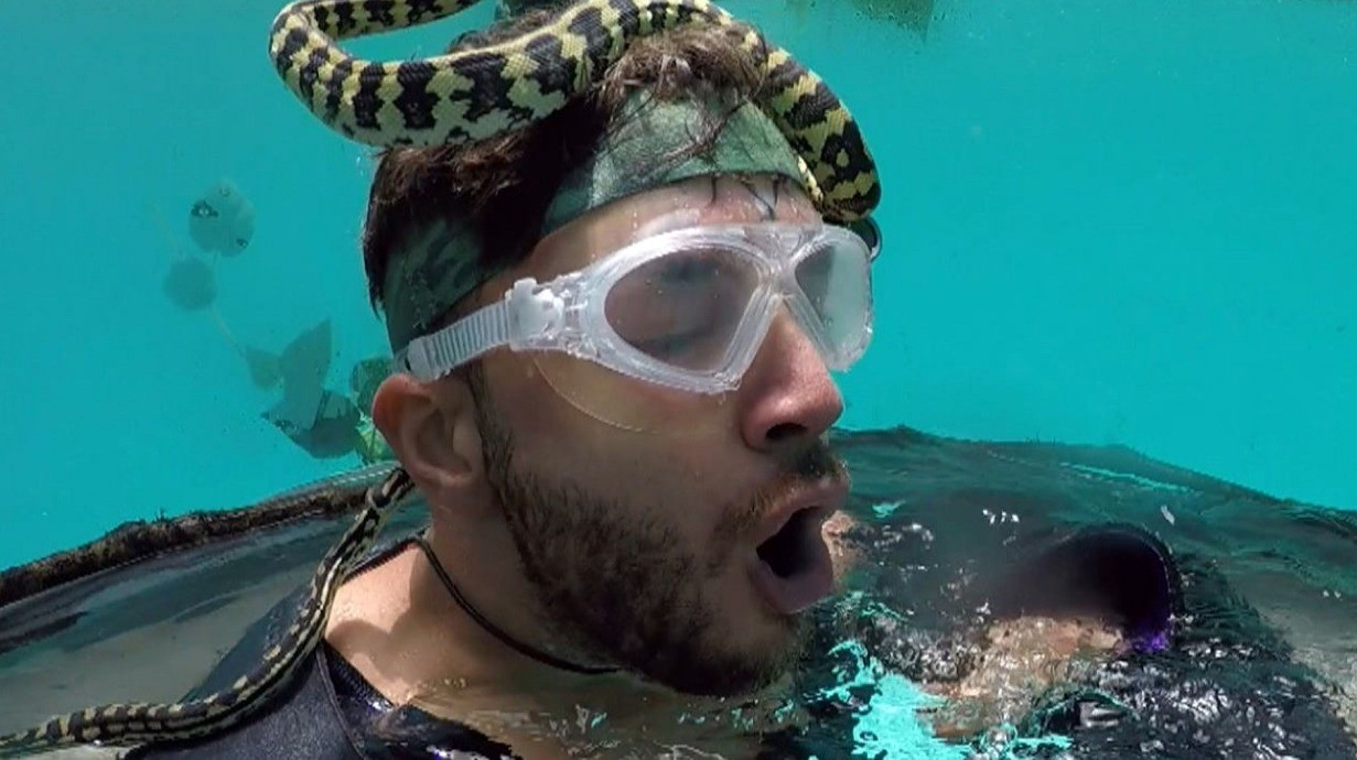 Jungle challenge: How much do you remember about Day 9? | I'm A ...