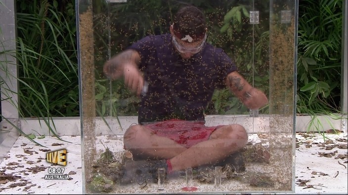 Bushtucker Trial: The Critter Cube | I'm A Celebrity Get Me Out Of Here