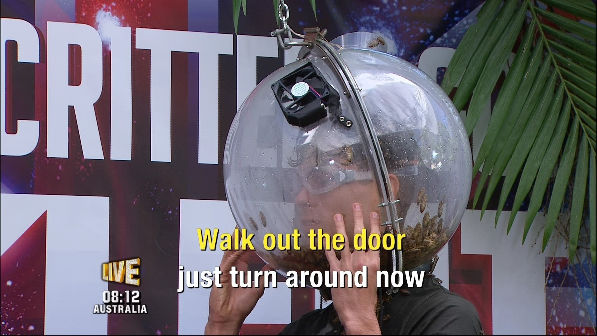 Joey sings for his supper | I'm A Celebrity Get Me Out Of Here