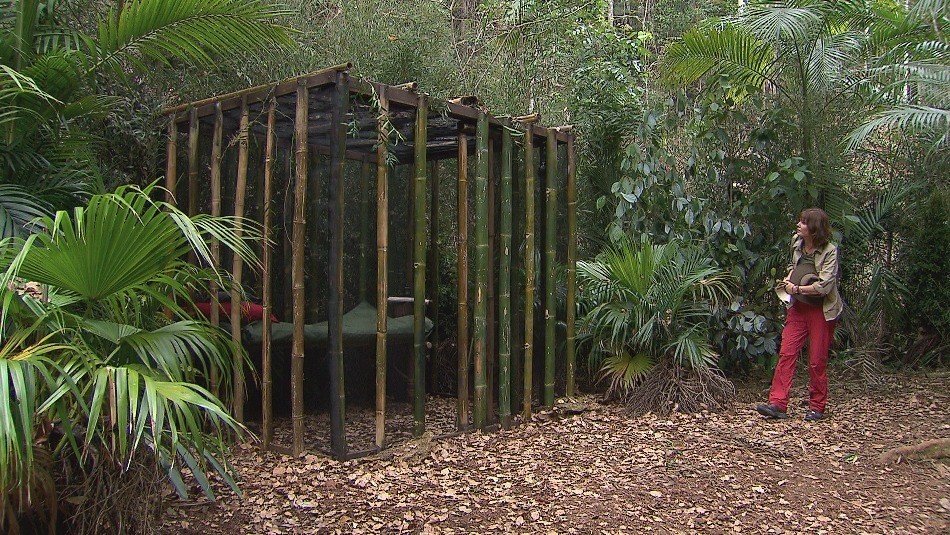 Meanwhile, on the other side of the jungle... | I'm A Celebrity… Get Me ...