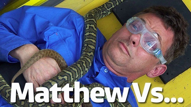 Matthew Vs... | I'm A Celebrity… Get Me Out Of Here!