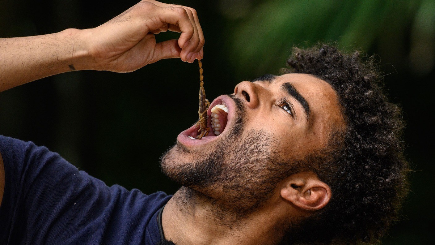 In Pictures: The Dreaded Deliveries Eating Trial | I'm A Celebrity Get ...