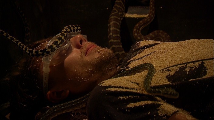 Roman's parting Panic Pit Trial is a pit of horror | I'm A Celebrity ...