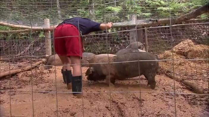 Vanessa and Dennis pig out | I'm A Celebrity… Get Me Out Of Here!