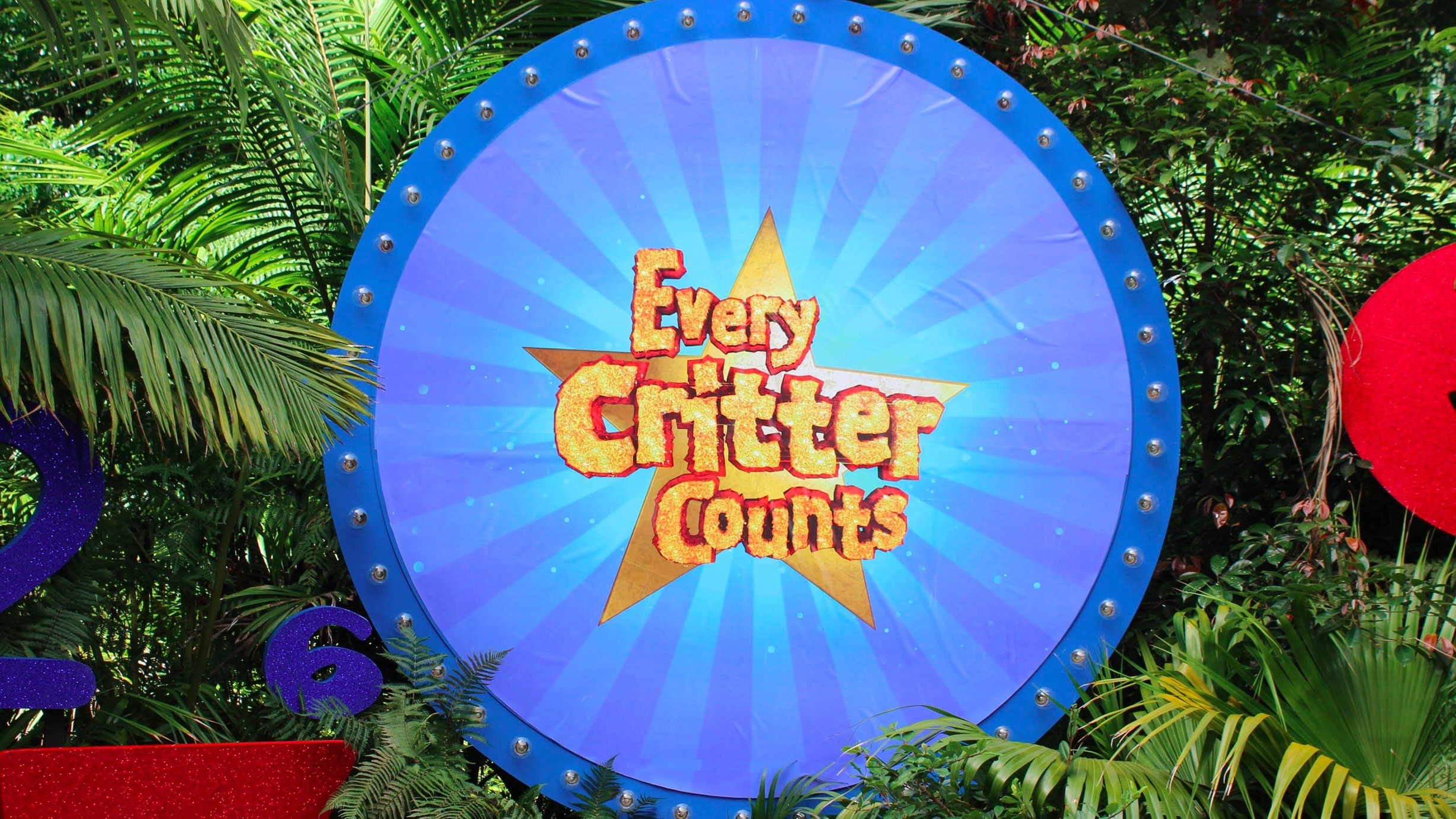 Behind the scenes: Every Critter Counts | I'm A Celebrity Get Me Out Of ...