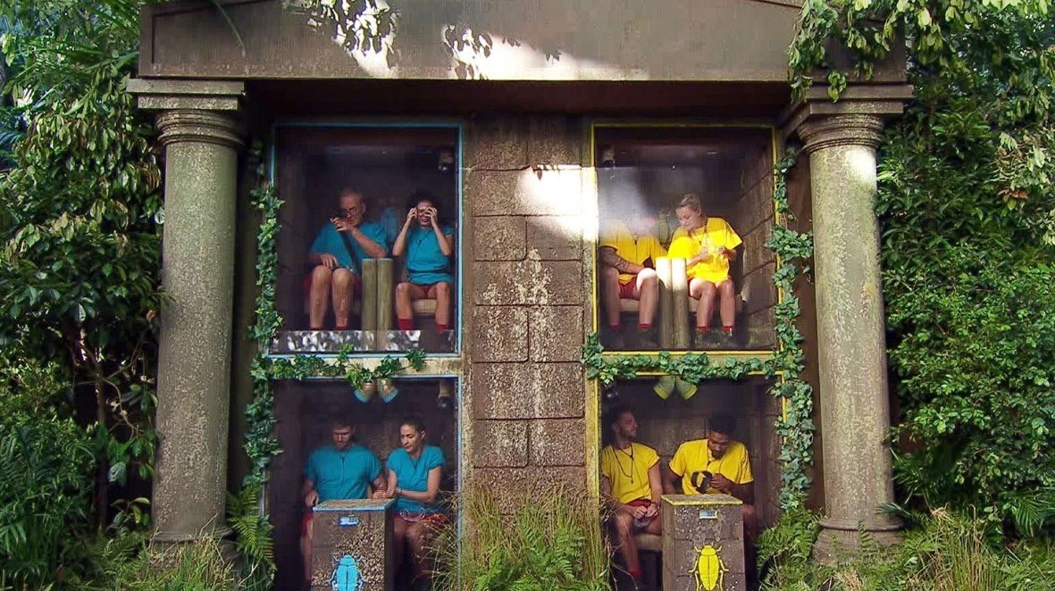 Jungle challenge: How much do you remember about Day 5? | I'm A ...