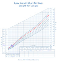 Boy Height And Weight Percentile Calculator Tutorial Pics