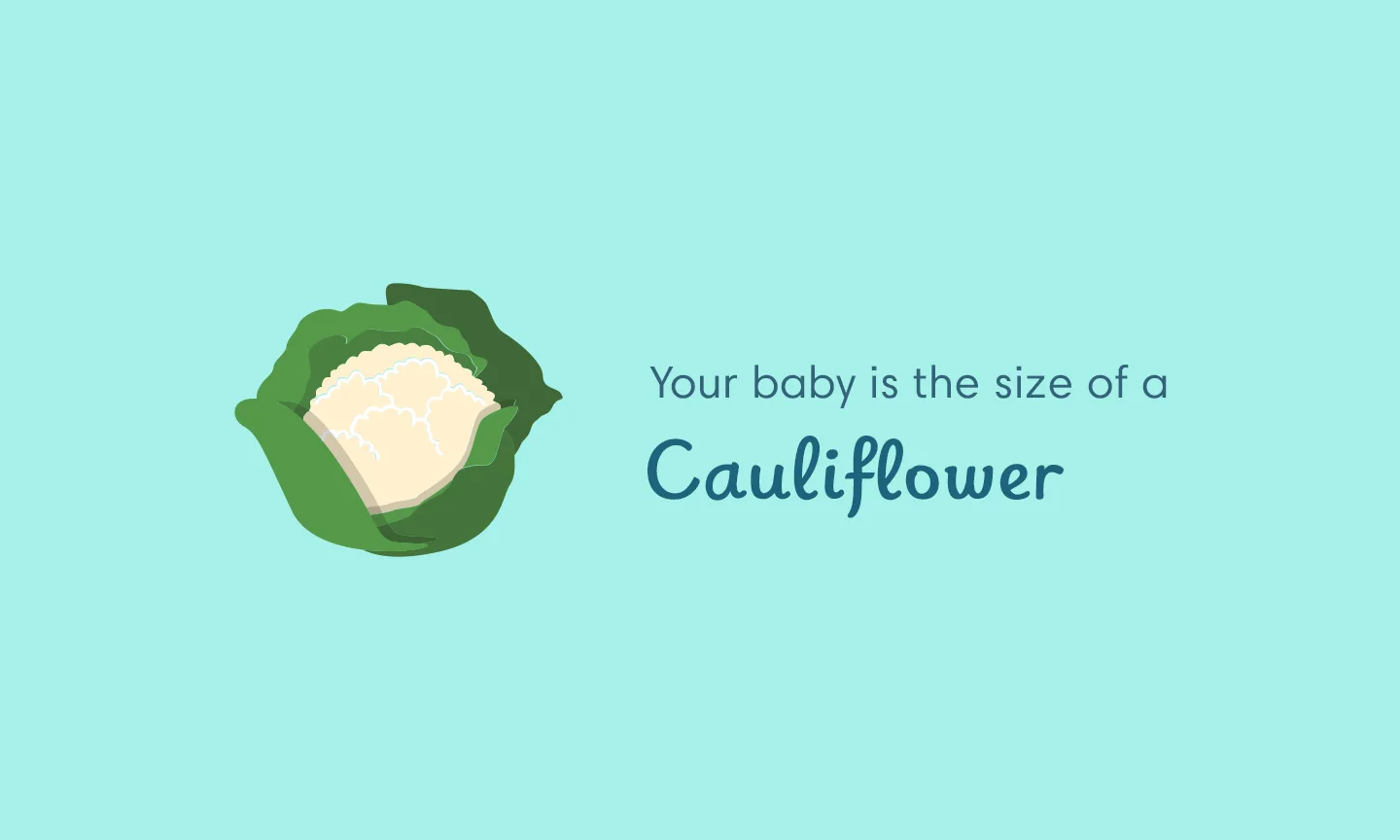 27 Weeks Pregnant: Symptoms and Baby Development | Pampers