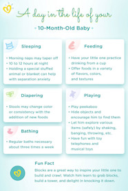 10 Month Old Baby Development Milestones Pampers 10 Month Old Baby Development Milestones Pampers