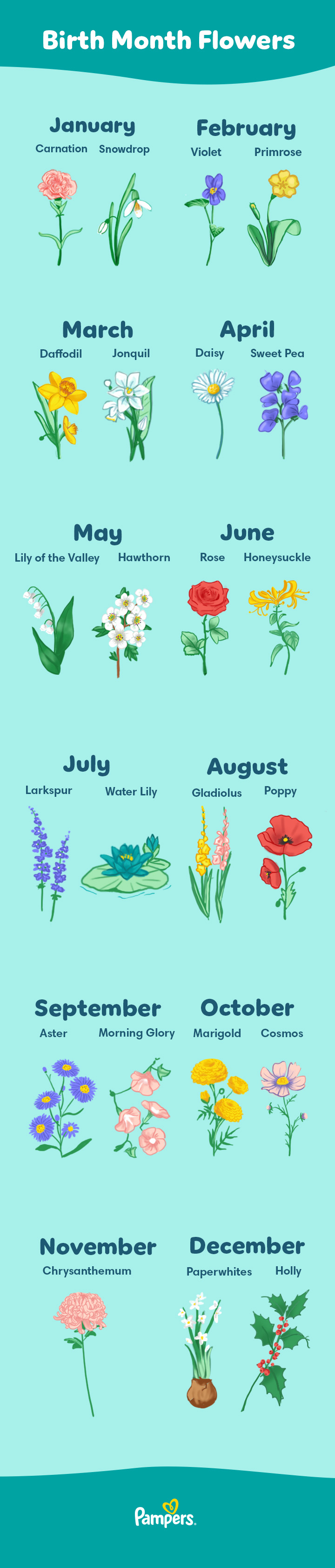 Birth Flowers What Is My Birth Month Flower Pampers
