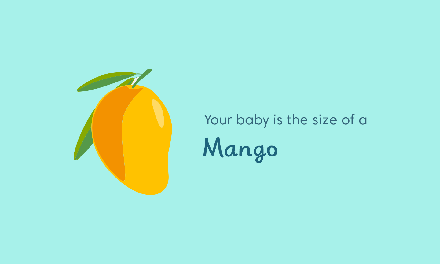 19 Weeks Pregnant: Symptoms and Baby Development | Pampers